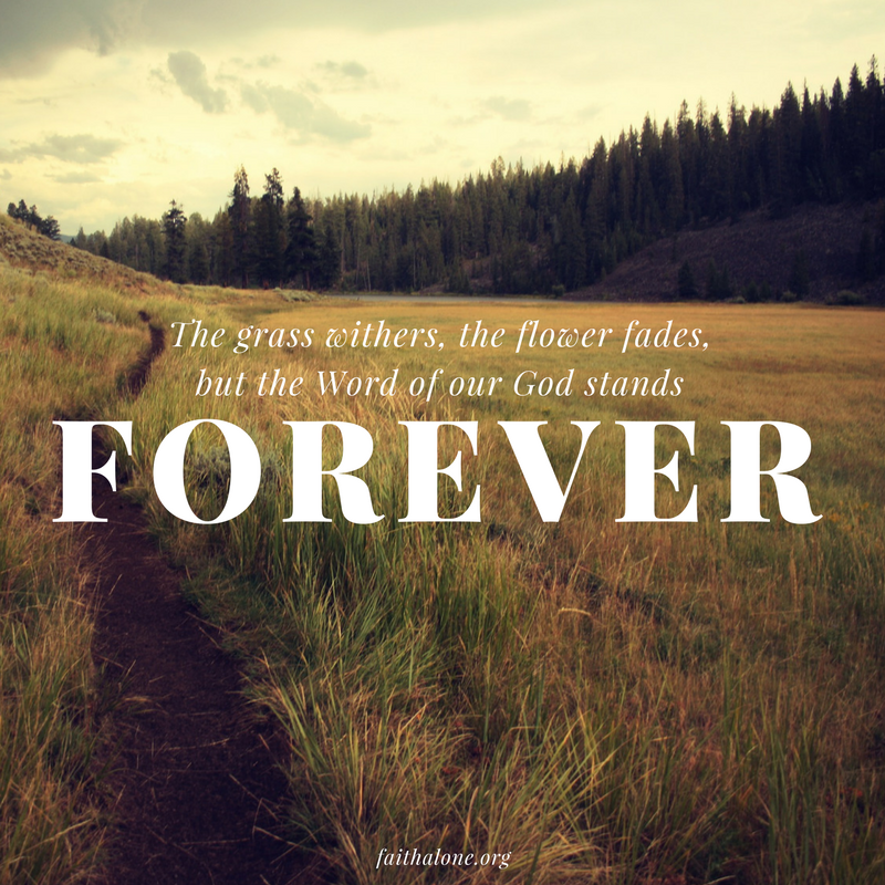 Why Do We Capitalize Biblical and Scriptural? – Grace Evangelical Society