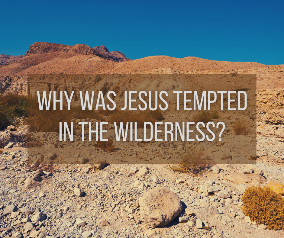 What It Was Like to Be Tossed Out of Paradise? (Genesis 3:24) – Grace ...