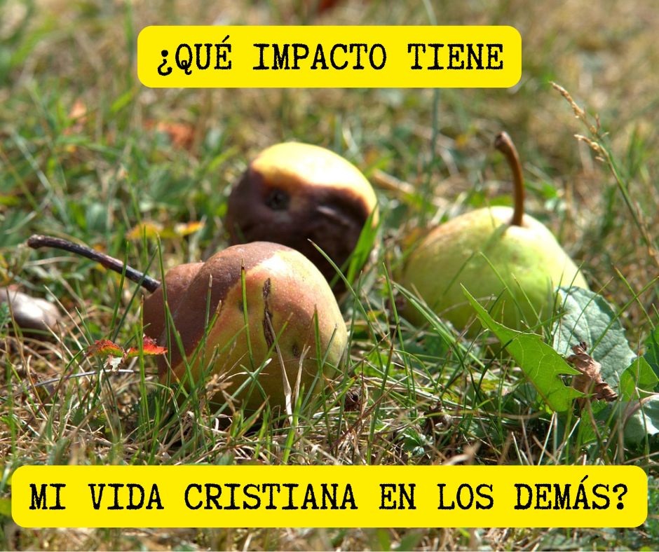 Cuando una persona justa decepciona (2 Timoteo 4:10) – Grace ...